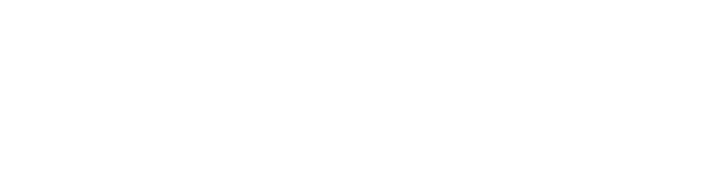 ISEGCOM Lyon – next generation in communication